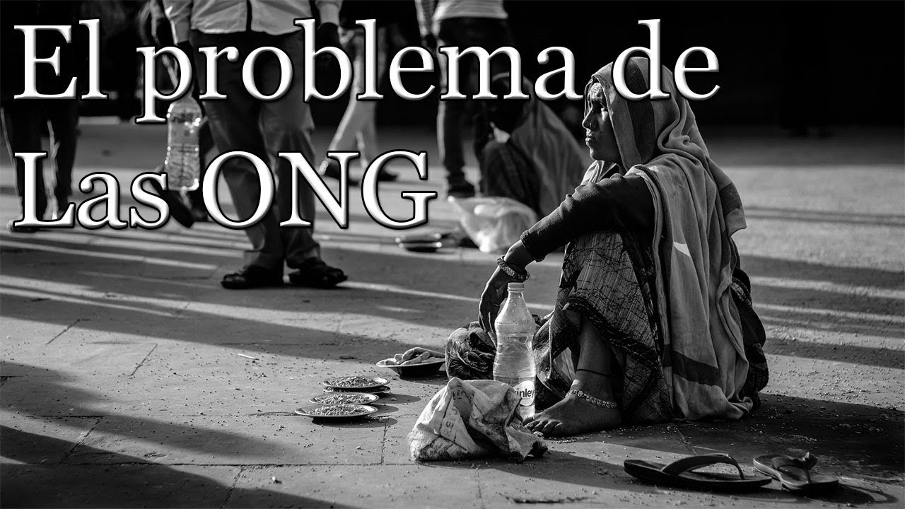 ¿Cuáles son las ong más confiables? - Decide Burgos