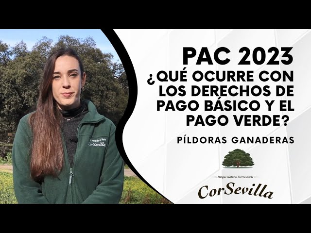 ¿Cuándo se realizará el segundo pago de la pac? - Decide Burgos