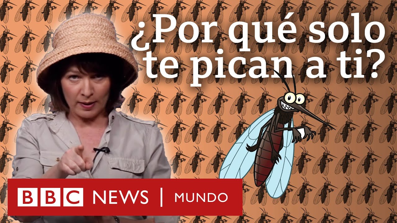 ¿A quién afectan más las picaduras de mosquitos? - Decide Burgos